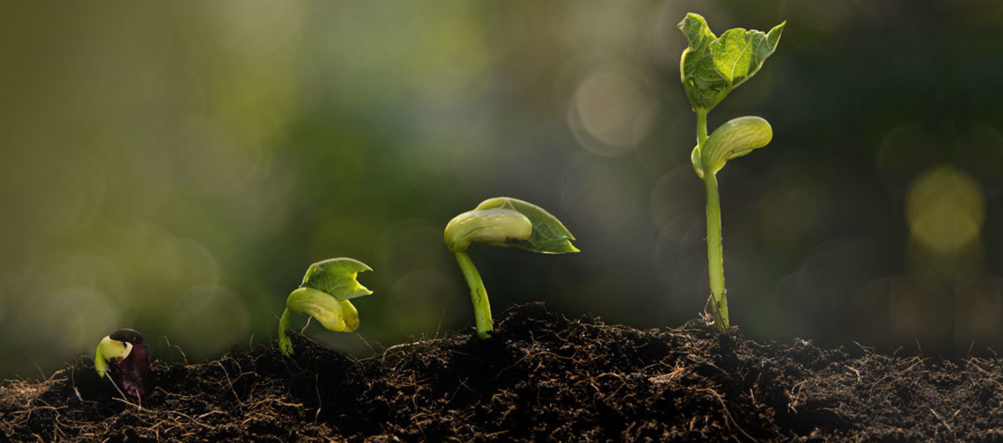 Pathway To Becoming A Sentient Enterprise | VSE, Inc.